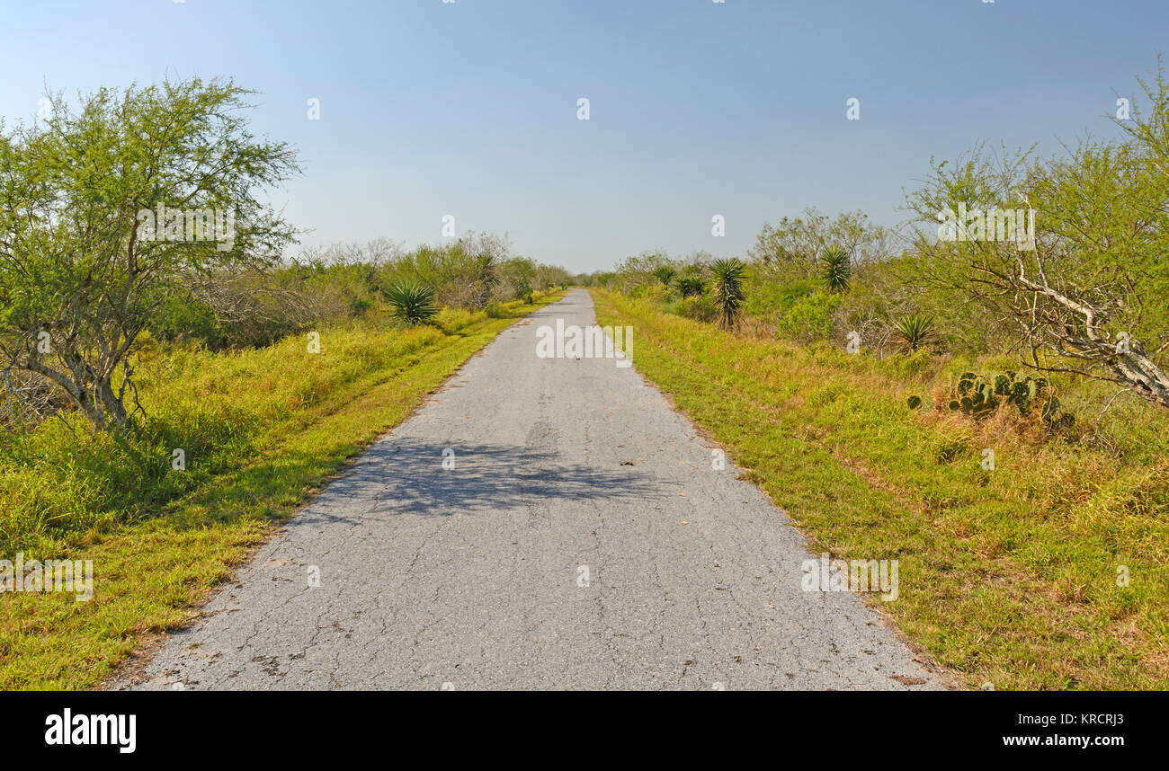 Lonely Path on a Barrier Island Stock Photo - Alamy
