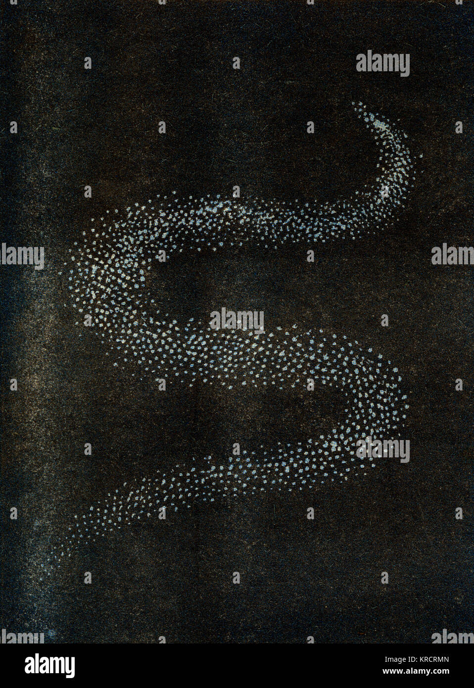 Serpentine tail hi-res stock photography and images - Alamy