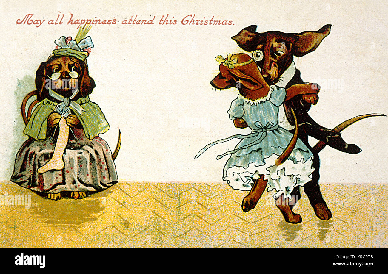 Dancing dogs hi-res stock photography and images - Alamy