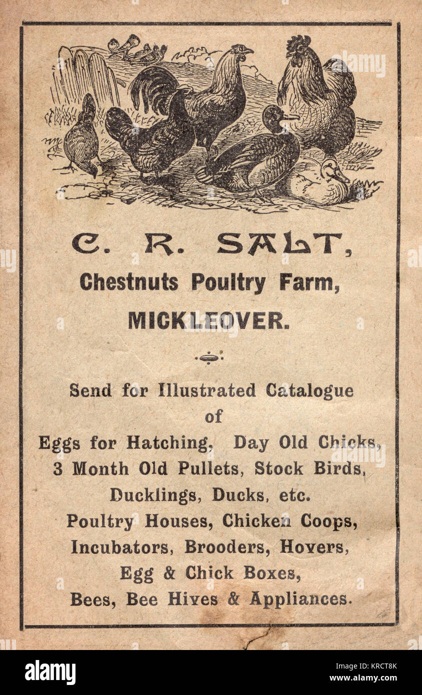 Advertisement for poultry farm, Mickleover, Derby Stock Photo - Alamy