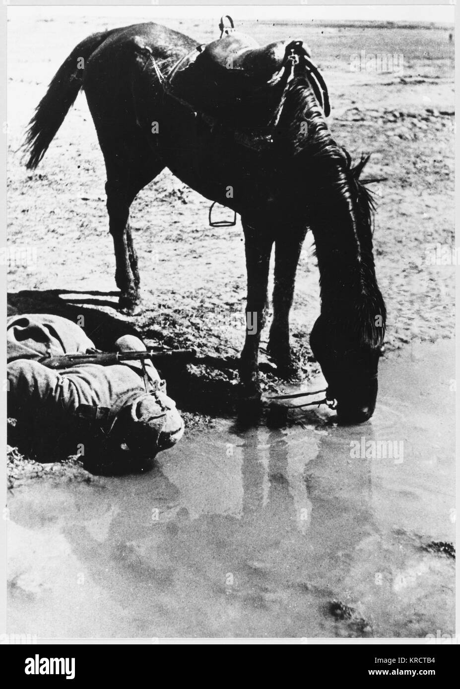 Cavalryman hi-res stock photography and images - Alamy