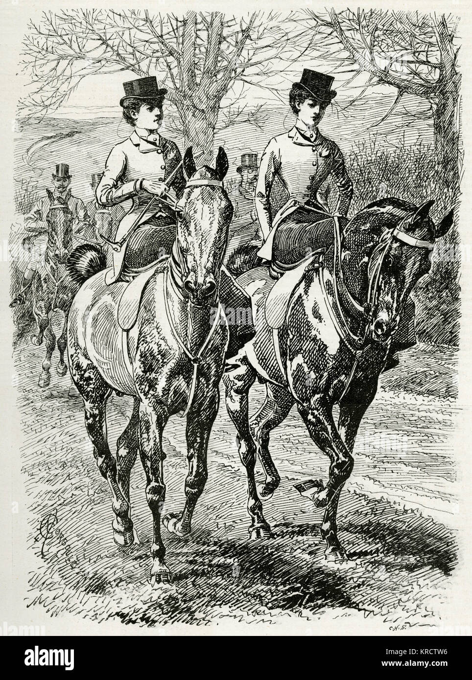 Side Saddle High Resolution Stock Photography and Images - Alamy