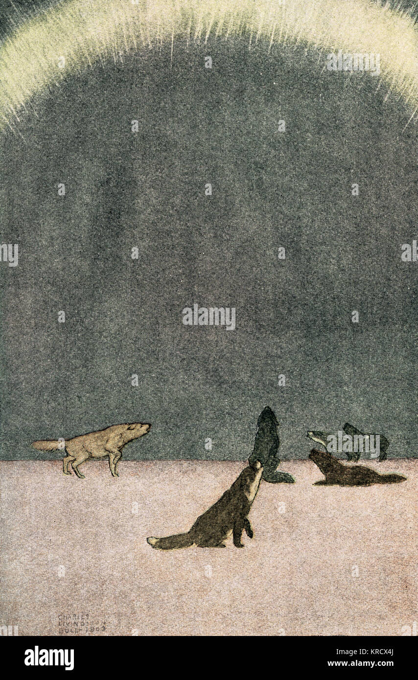 Howling hi-res stock photography and images - Alamy