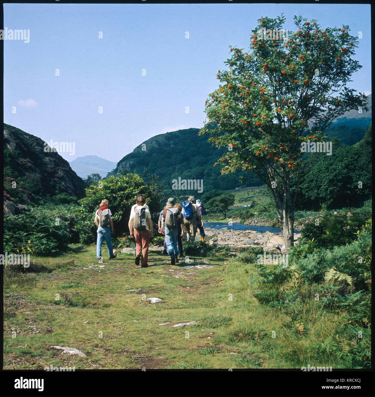 A small group of ramblers in the British countryside Stock Photo - Alamy