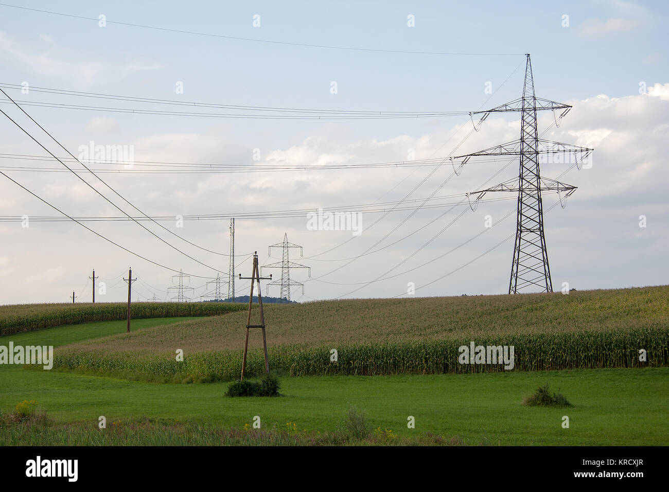 landscape with different power poles between corn fields and meadows ...