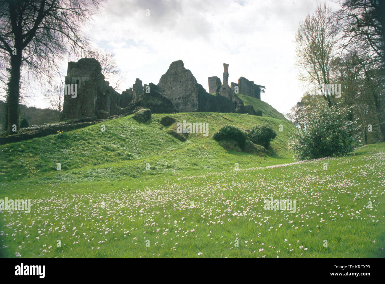 The ruins of Okehampton Castle, Devon, England Stock Photo - Alamy