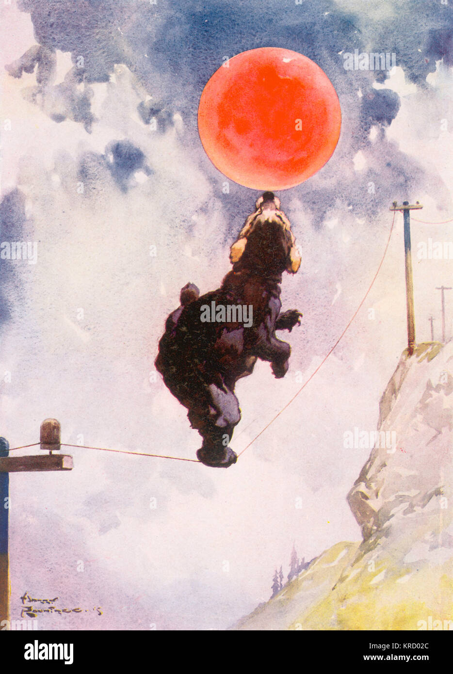 High wire balancing hi-res stock photography and images - Alamy