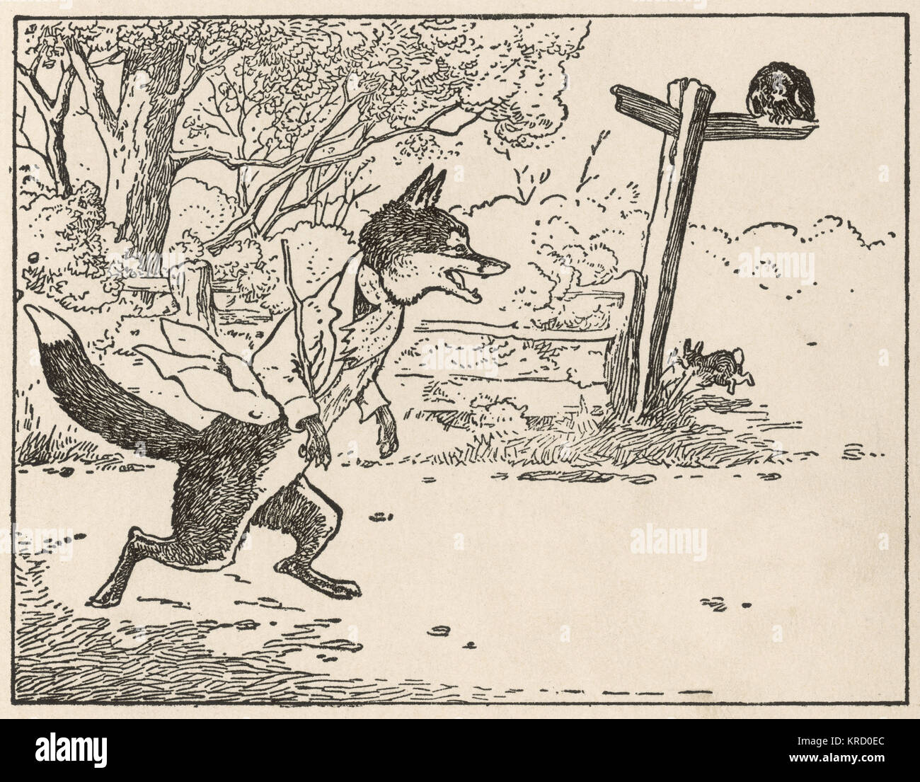 The Hungry Fox (animal as human) 1 of 5 Stock Photo - Alamy