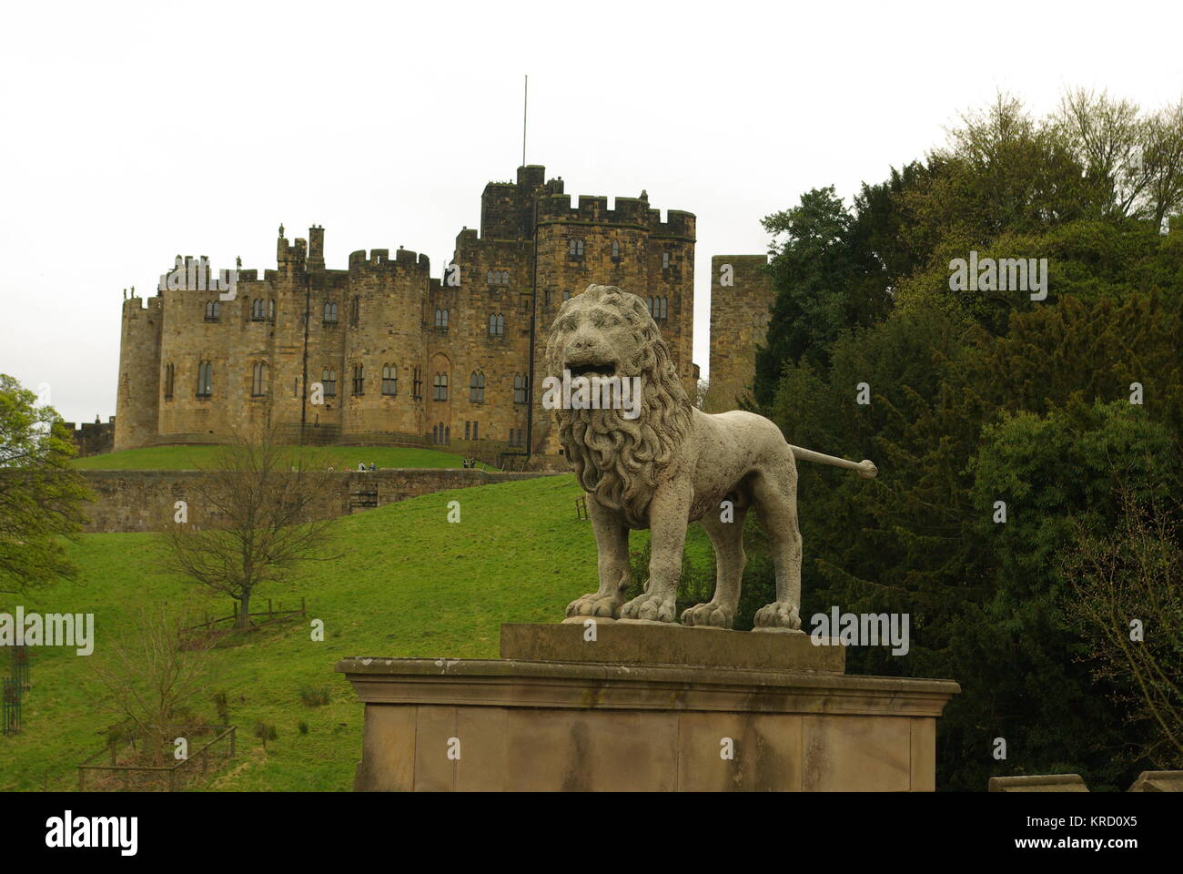 Alnwick lion tail hi-res stock photography and images - Alamy