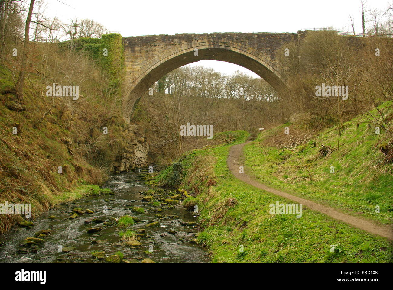 Causey arch tyne hi-res stock photography and images - Alamy