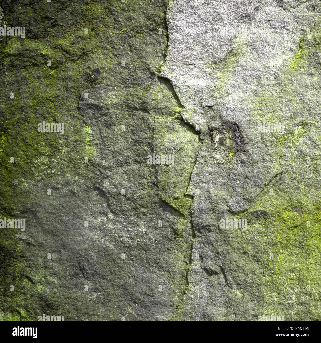 Alien skull hi-res stock photography and images - Alamy