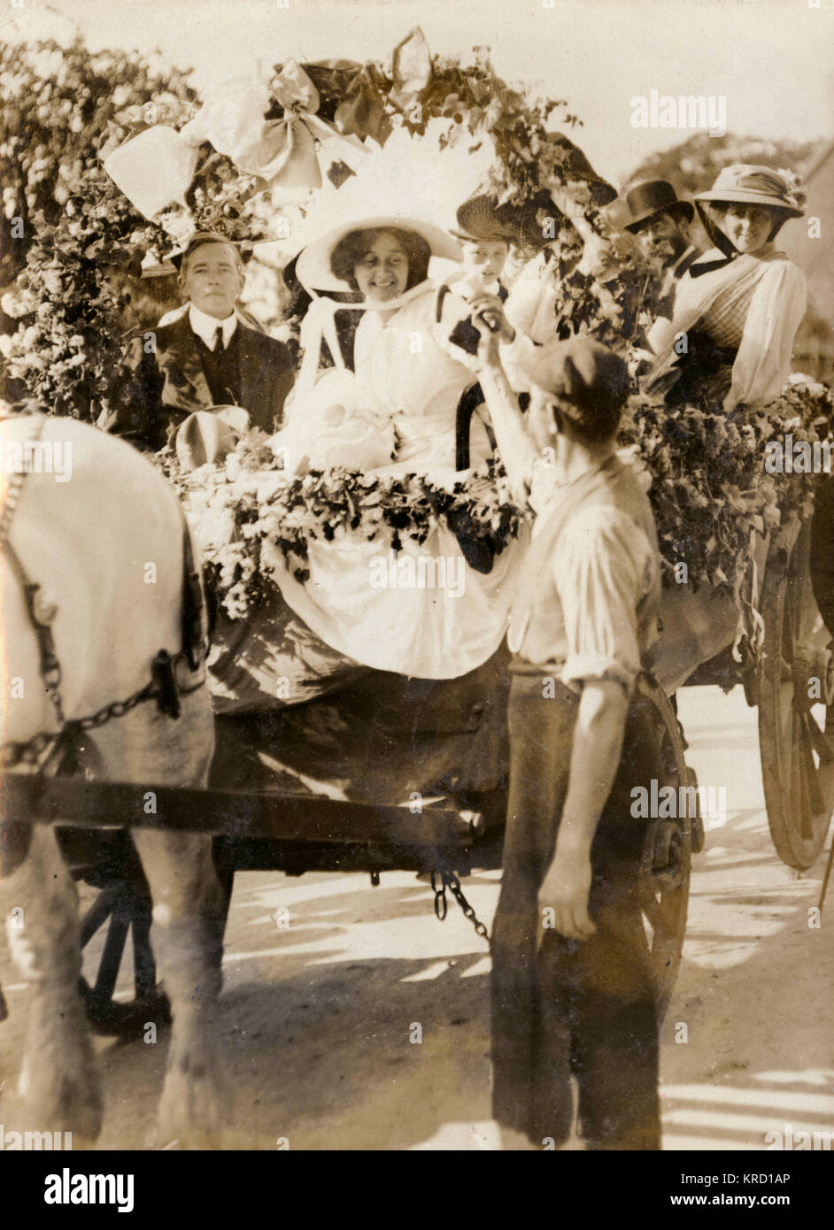 English Bride High Resolution Stock Photography and Images - Alamy