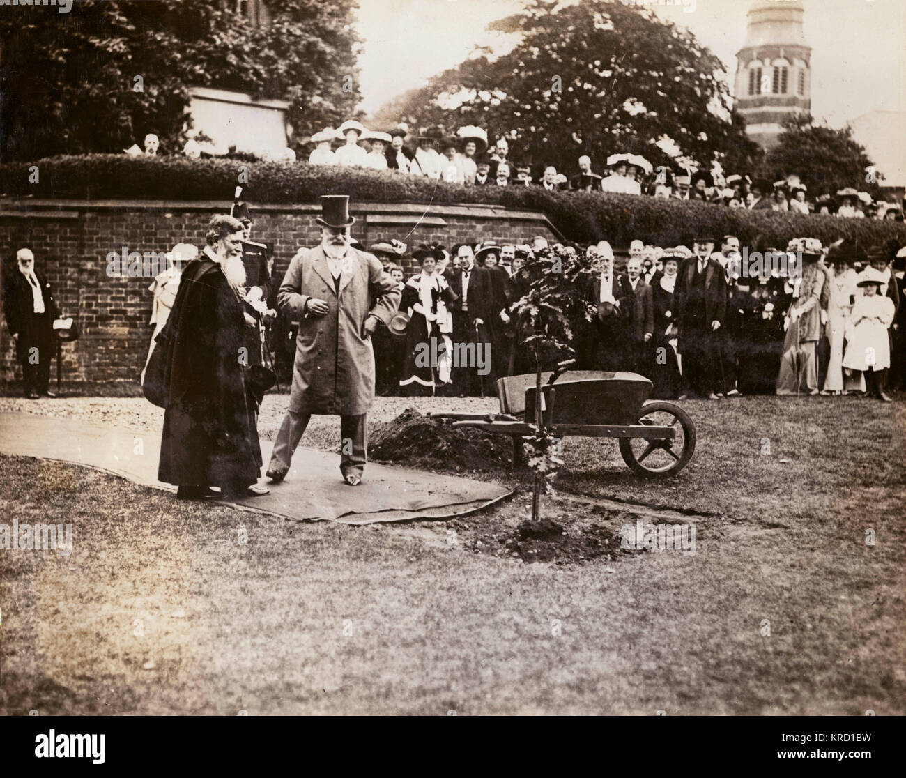 Edward VII at a tree planting ceremony Stock Photo - Alamy