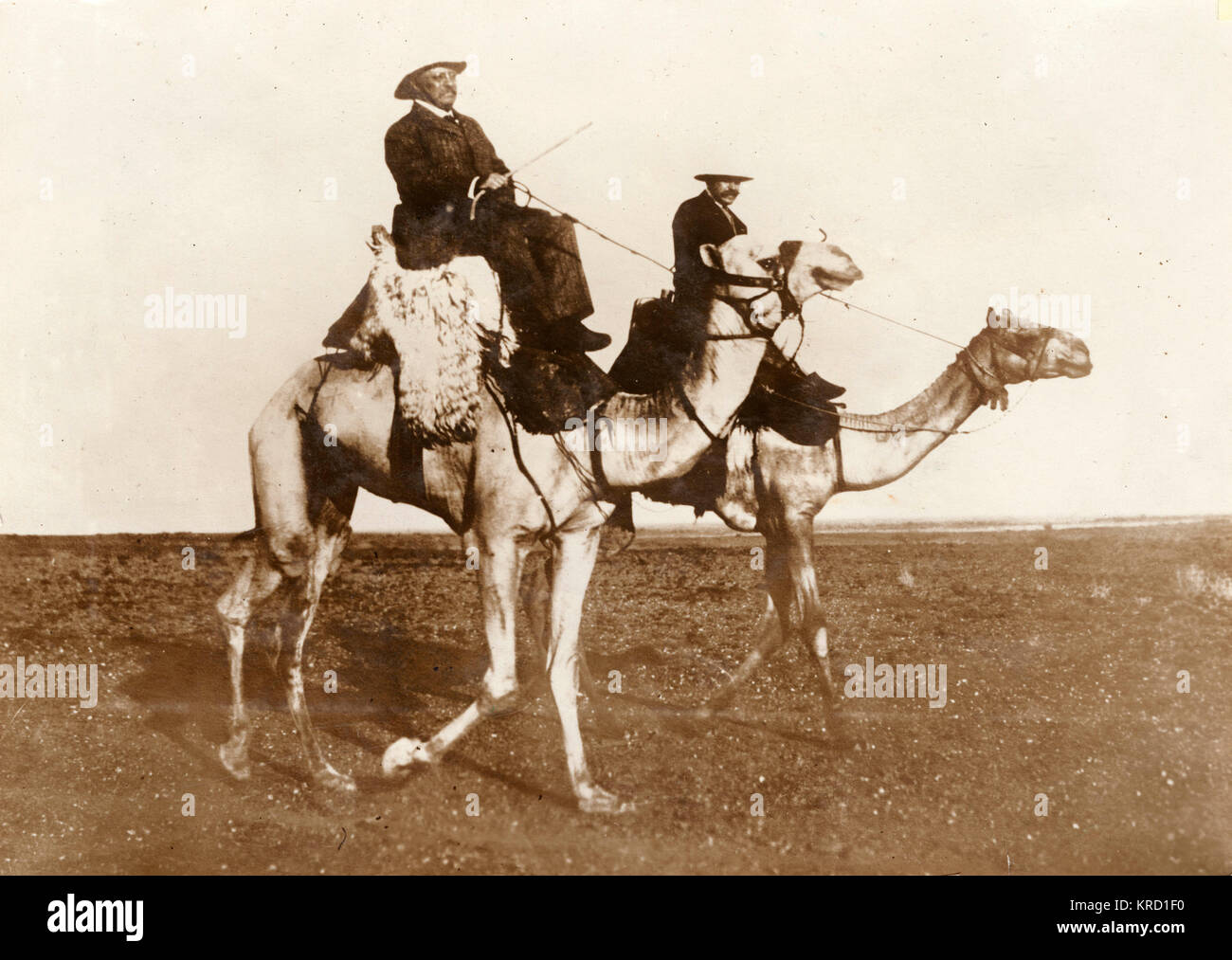 Two men riding camels Stock Photo - Alamy