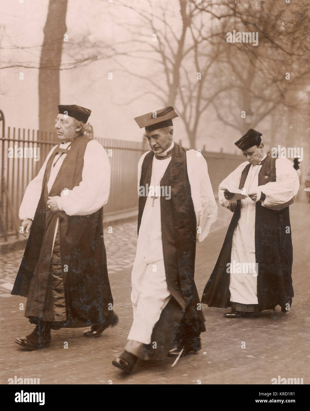 Bishop Sleeves High Resolution Stock Photography and Images - Alamy