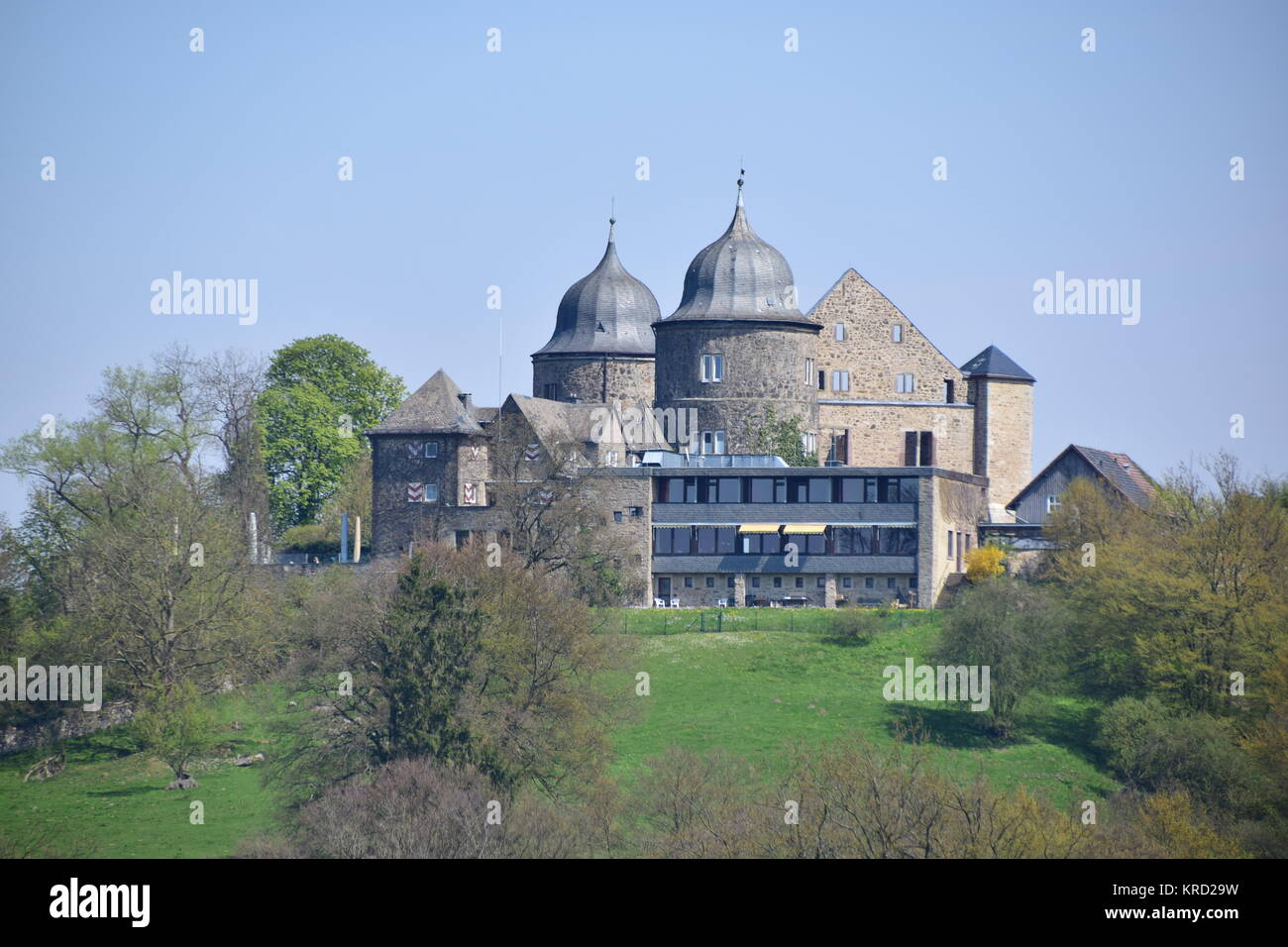 sababurg in the reinhardswald in northern hesse Stock Photo - Alamy