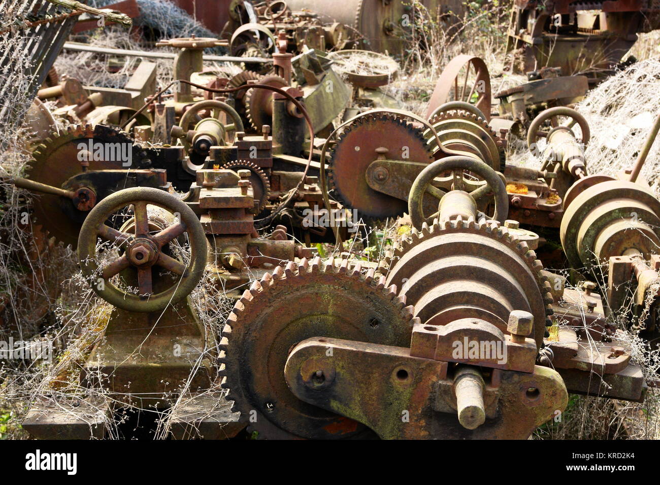 Ground parts hi-res stock photography and images - Alamy
