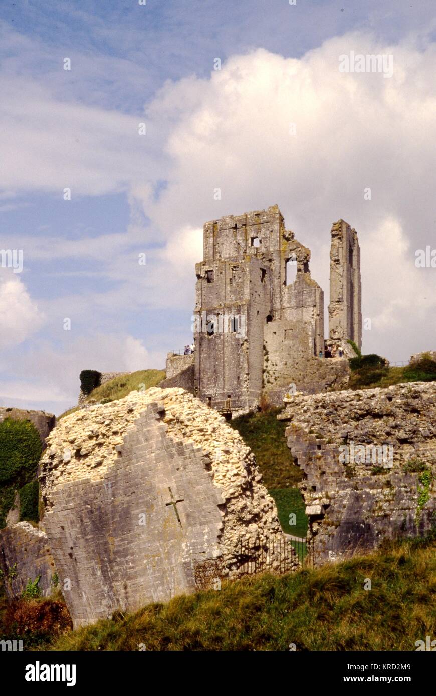 View of the ruins of Corfe Castle, Dorset Stock Photo - Alamy