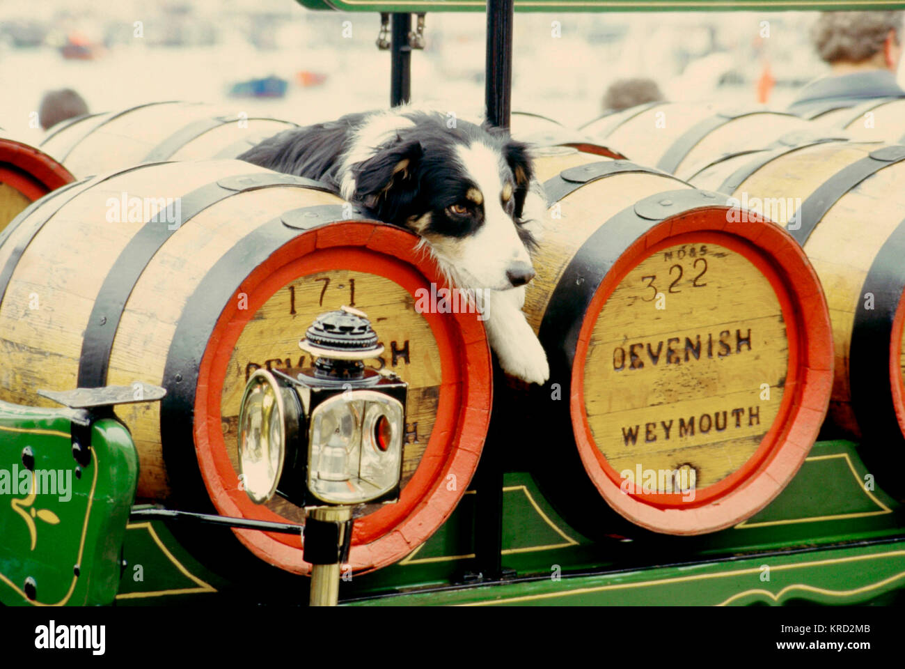 Looking into a barrel beer hi-res stock photography and images - Alamy