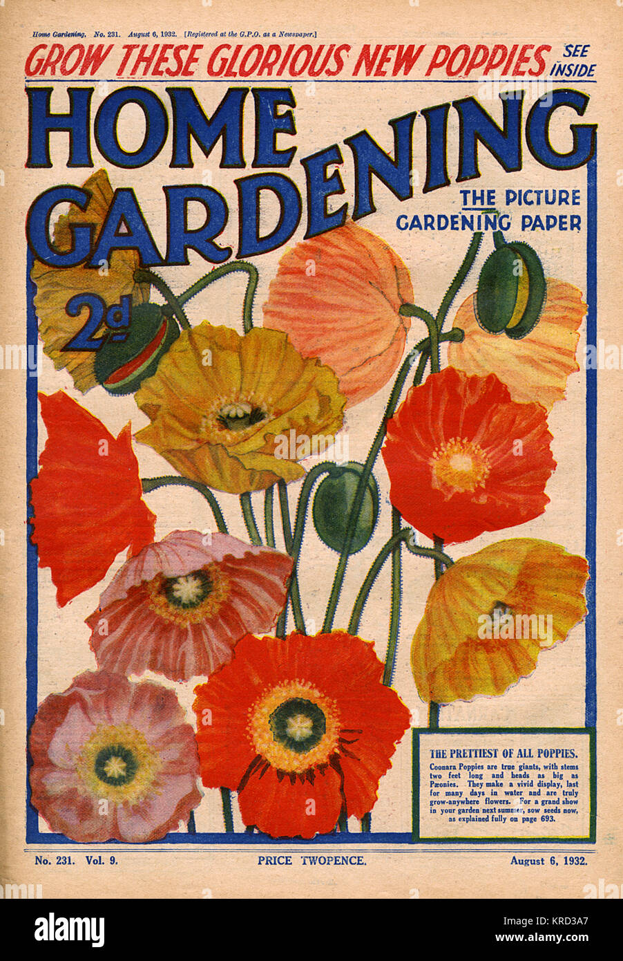 Antique Gardening Magazine