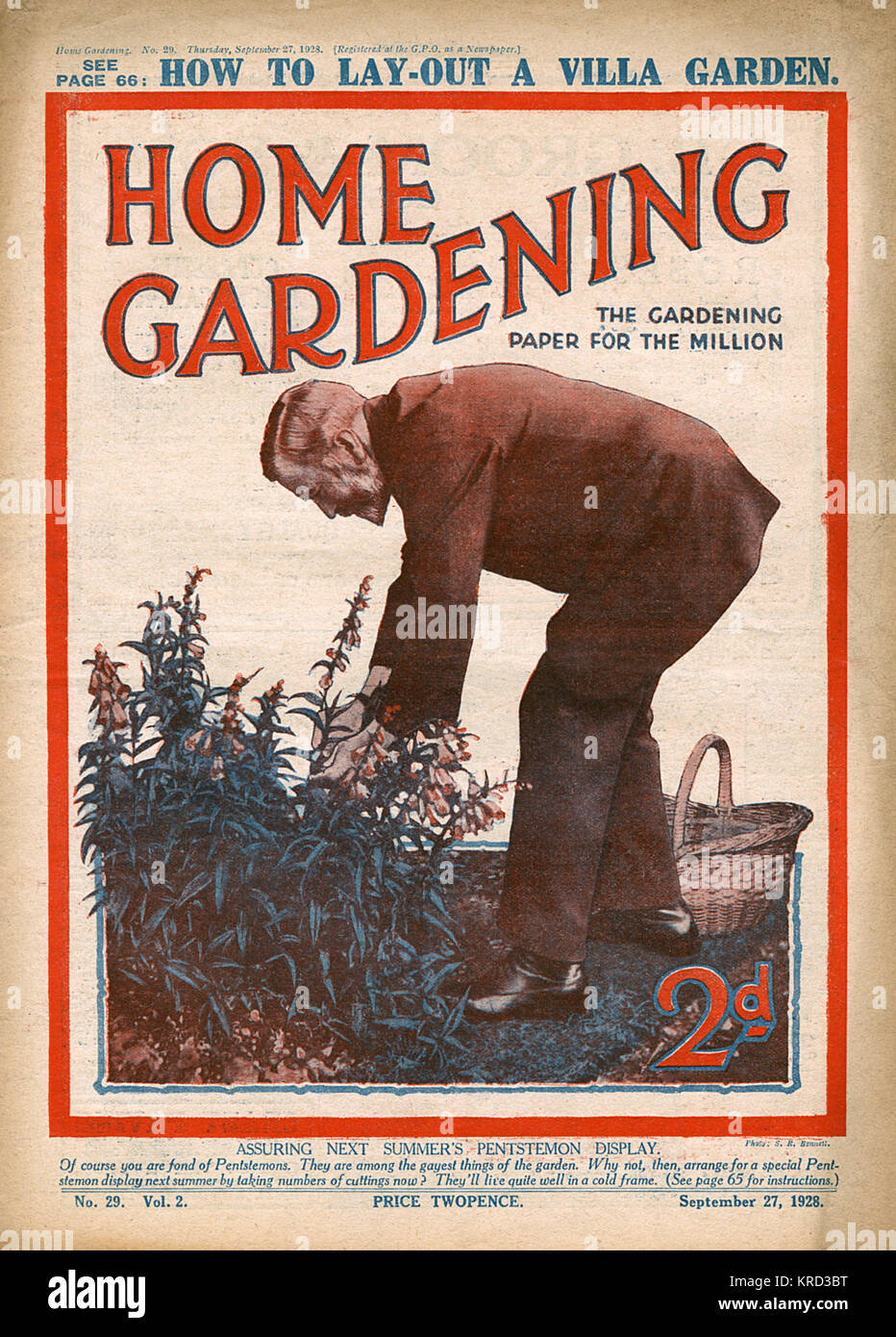Antique Gardening Magazine