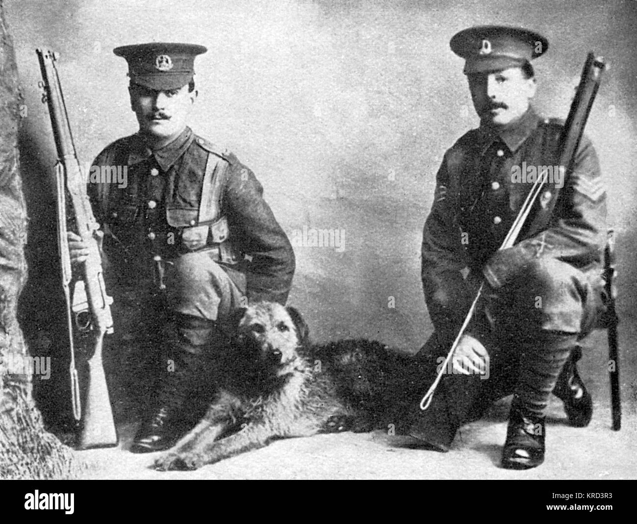 Sentry dog, WW1 Stock Photo - Alamy