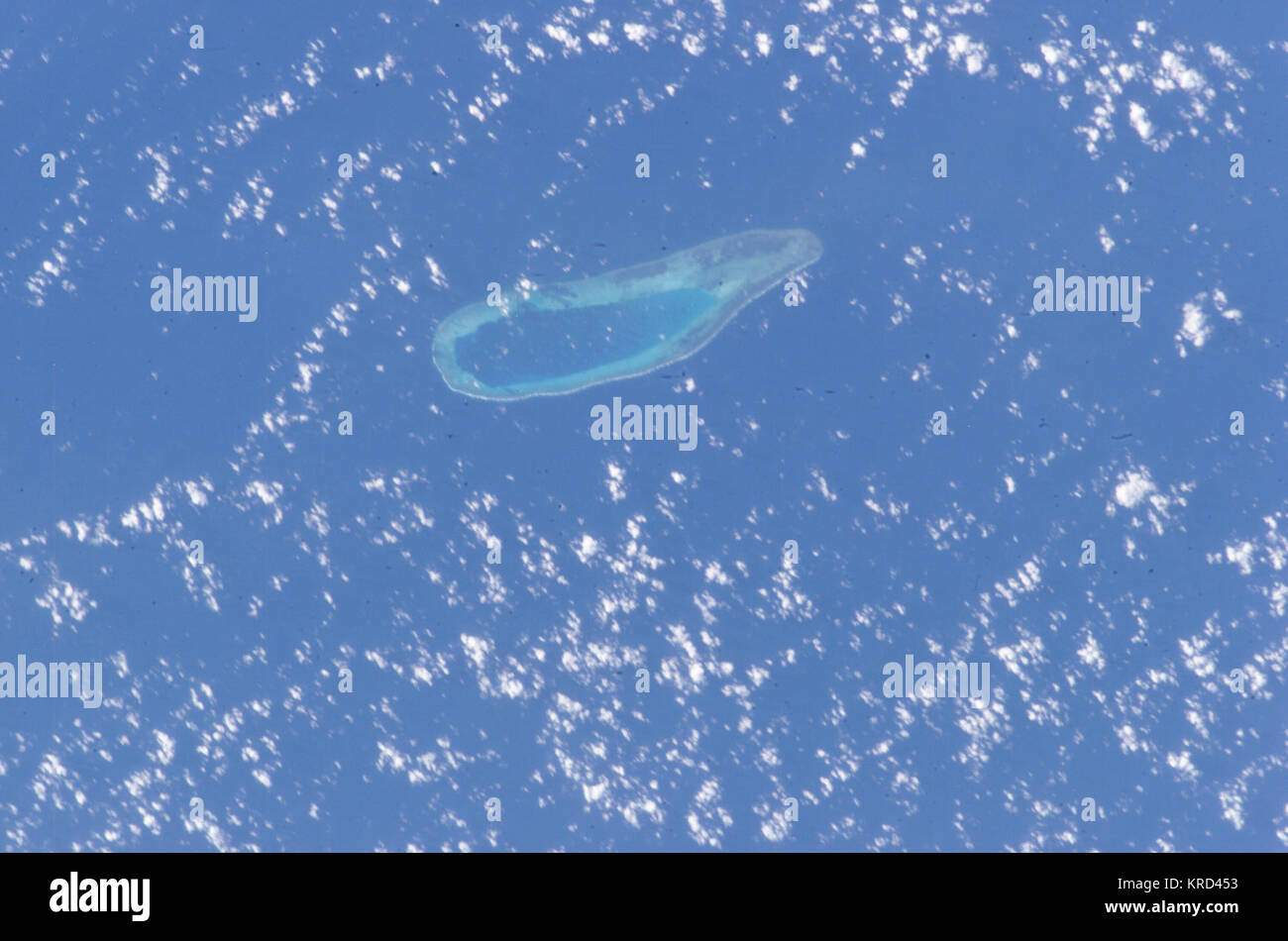 Bombay Reef 2 Stock Photo - Alamy