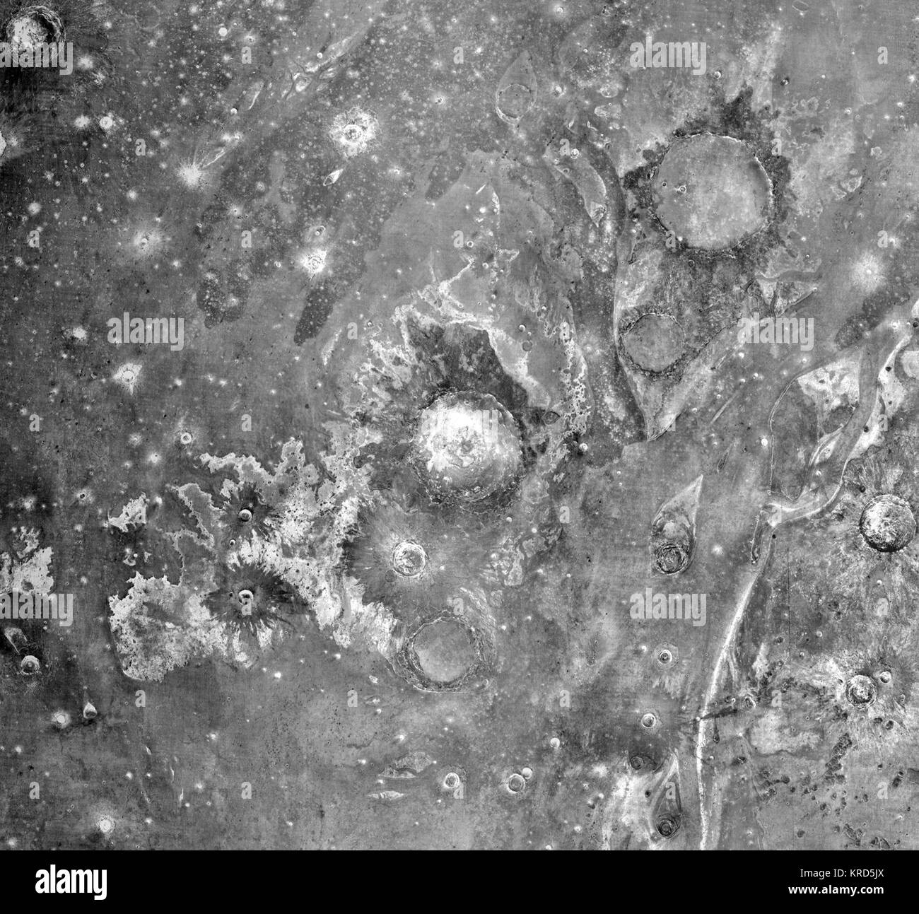 Acidalia hi-res stock photography and images - Alamy