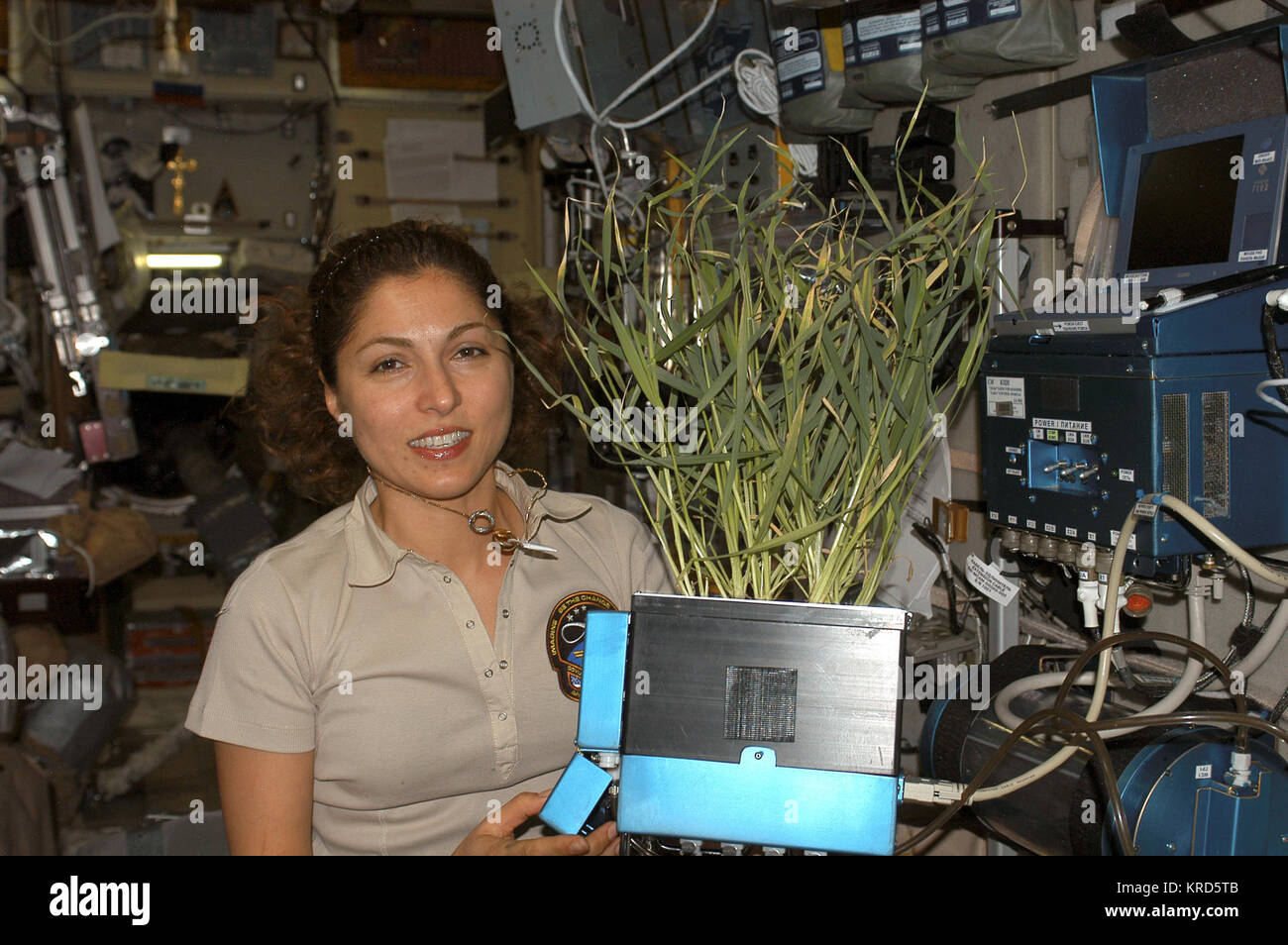 Anousheh ansari hi-res stock photography and images - Alamy