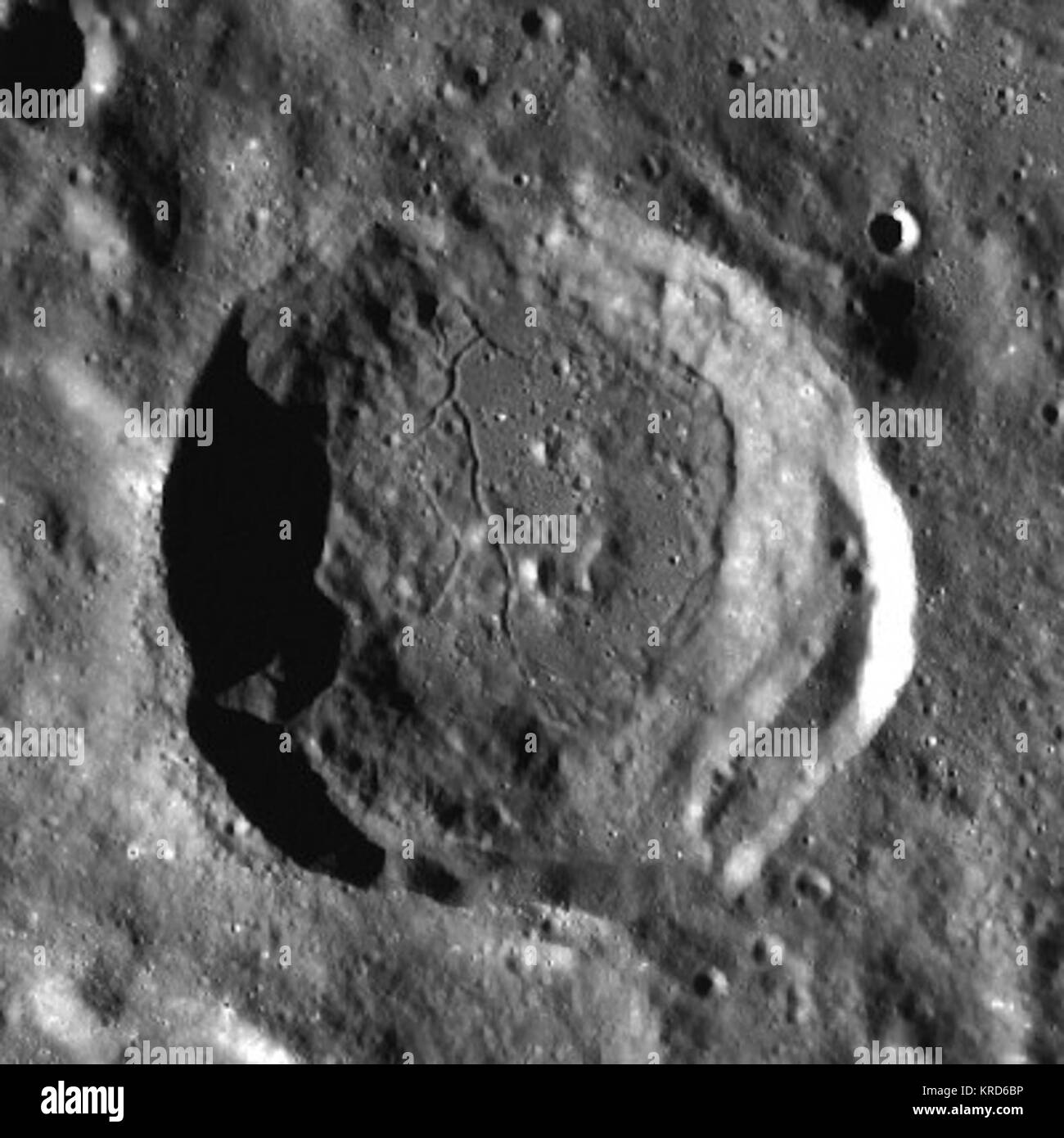 Beals Black and White Stock Photos & Images - Alamy