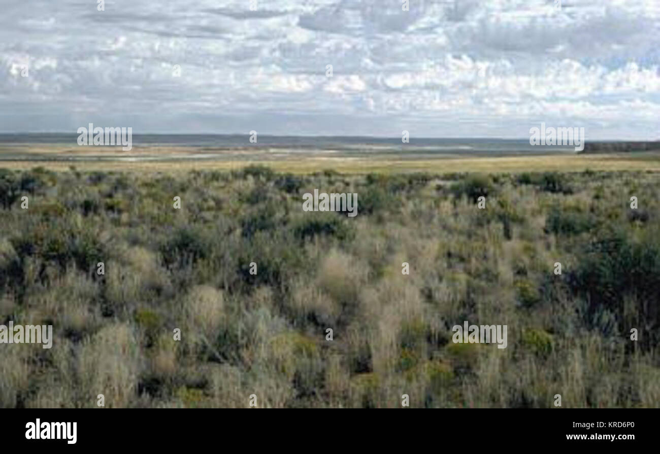 Chaco Canyon roads Stock Photo - Alamy