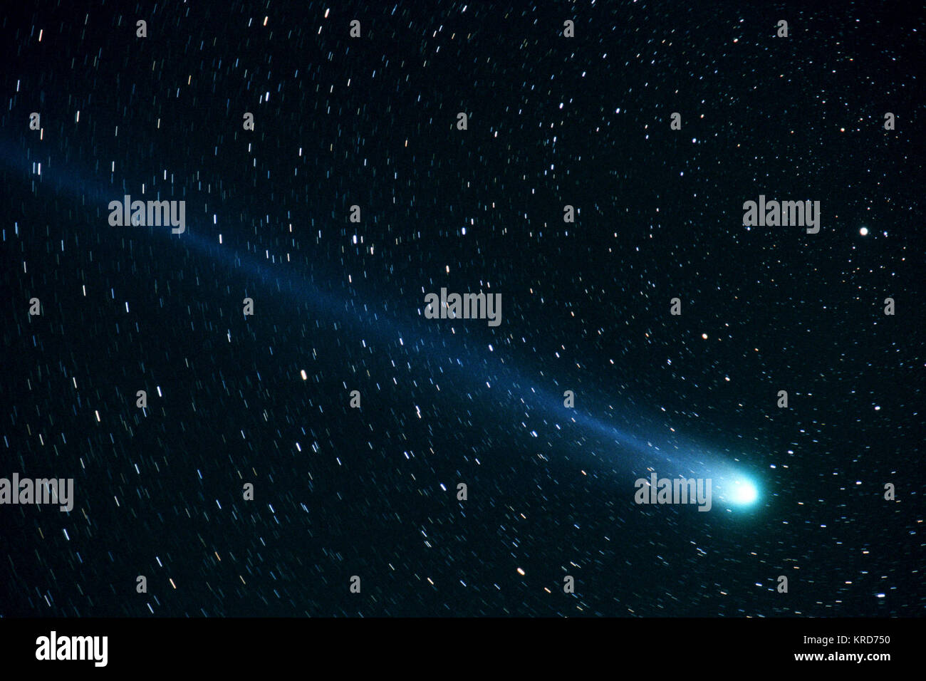 Comet Hyakutake by Bill Ingalls Stock Photo - Alamy