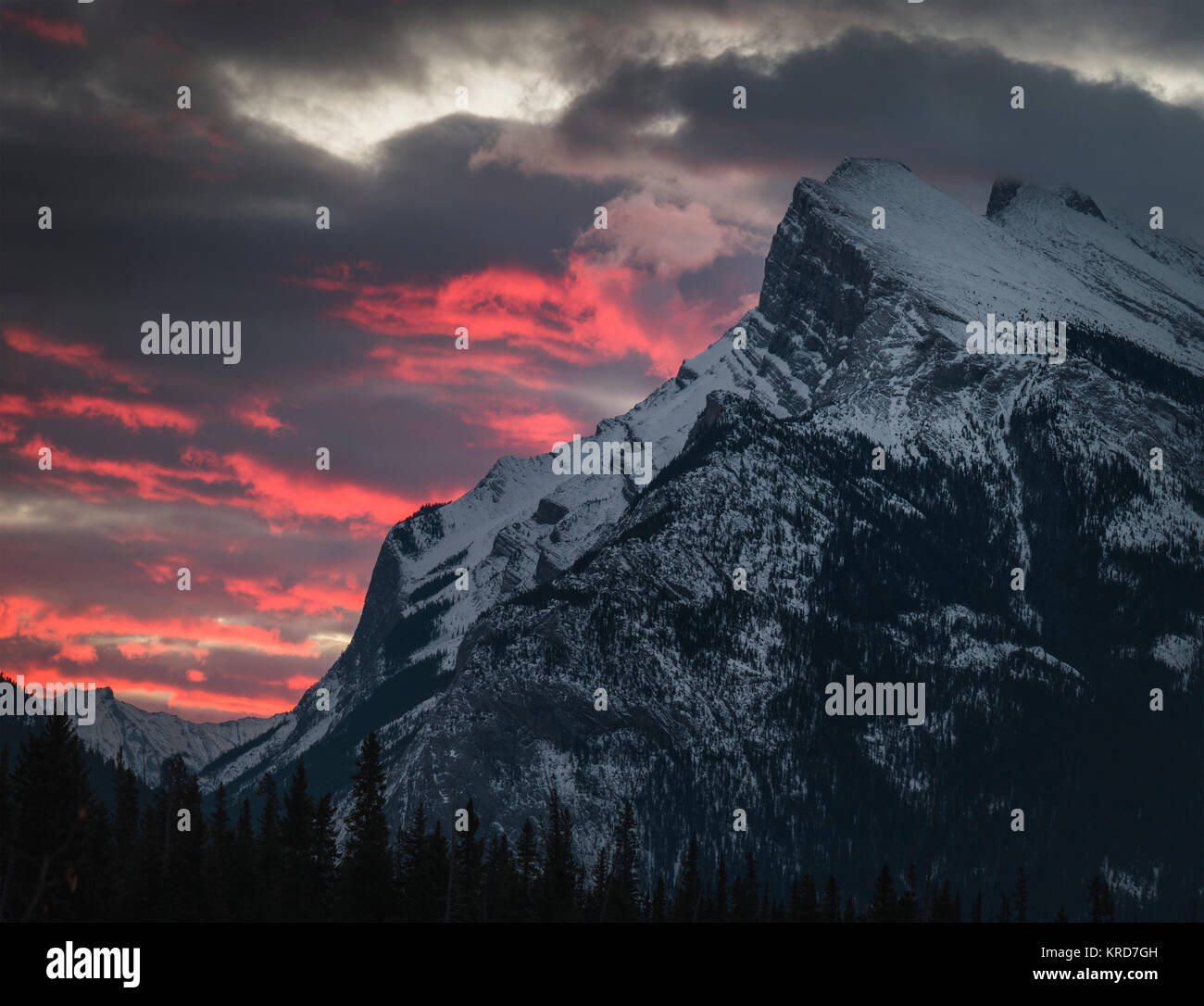 Morning glow, Banff National Park Stock Photo - Alamy