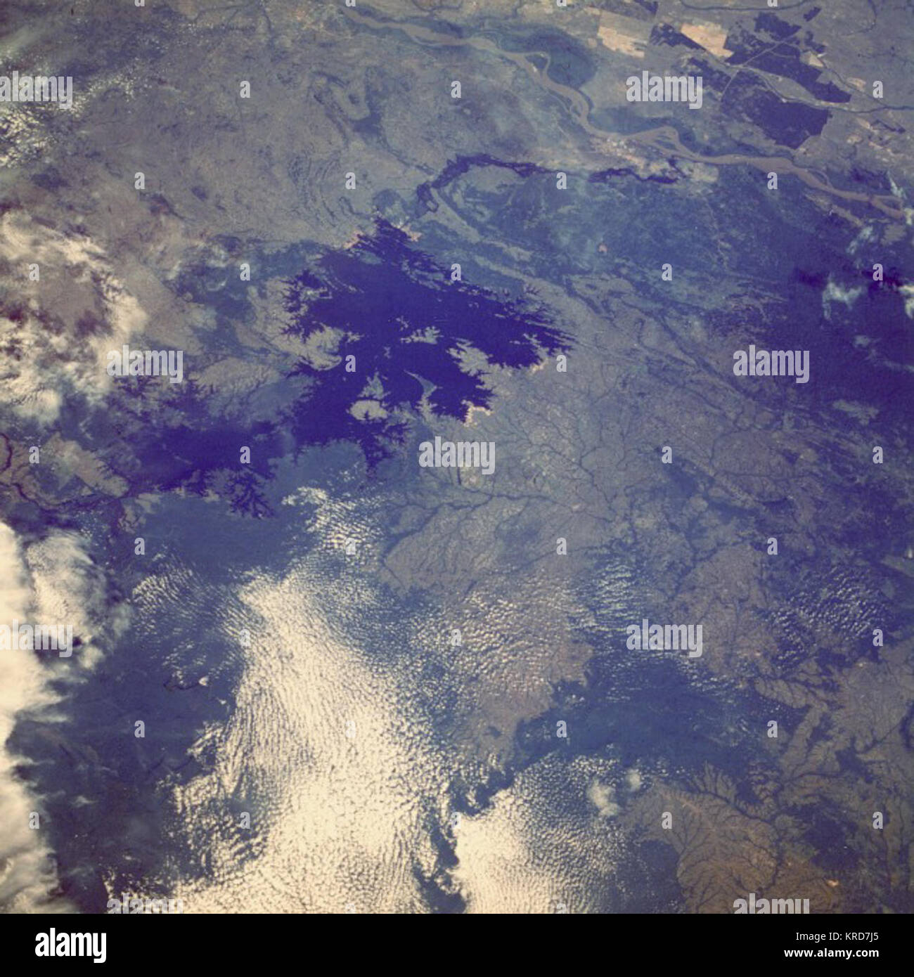 Guri guri hi-res stock photography and images - Alamy