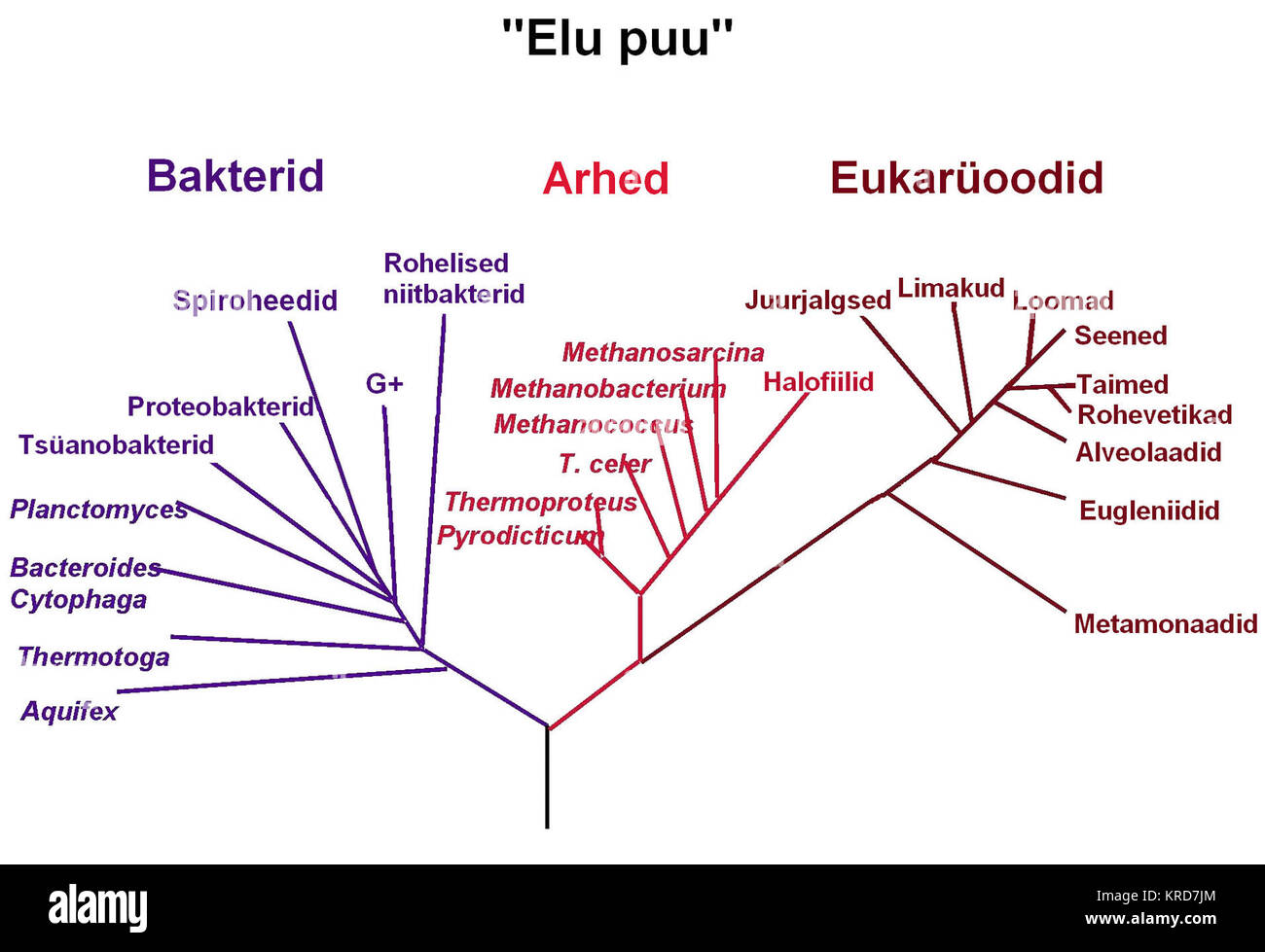 élu hi-res stock photography and images - Alamy