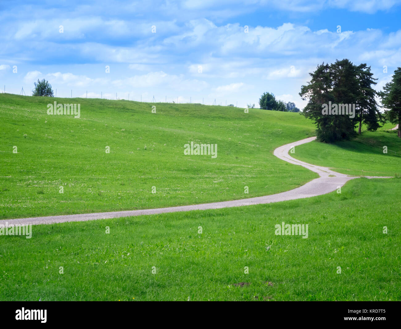 Landscape view with hilly meadow, meandering hiking trail and single ...