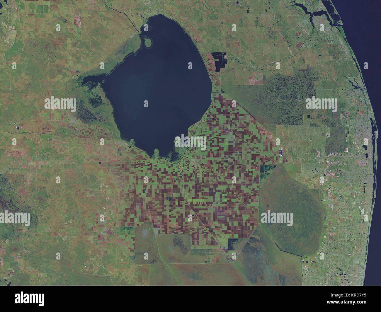 Florida lake satellite hi-res stock photography and images - Alamy