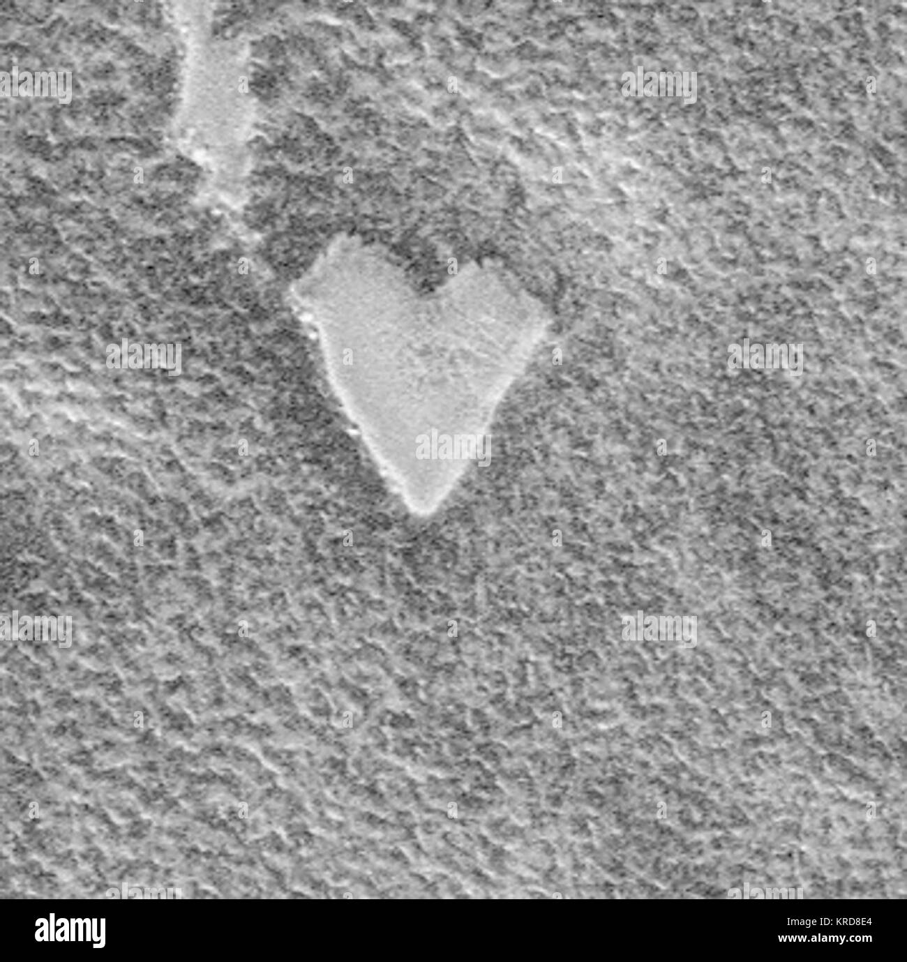 Heart orbit hi-res stock photography and images - Alamy