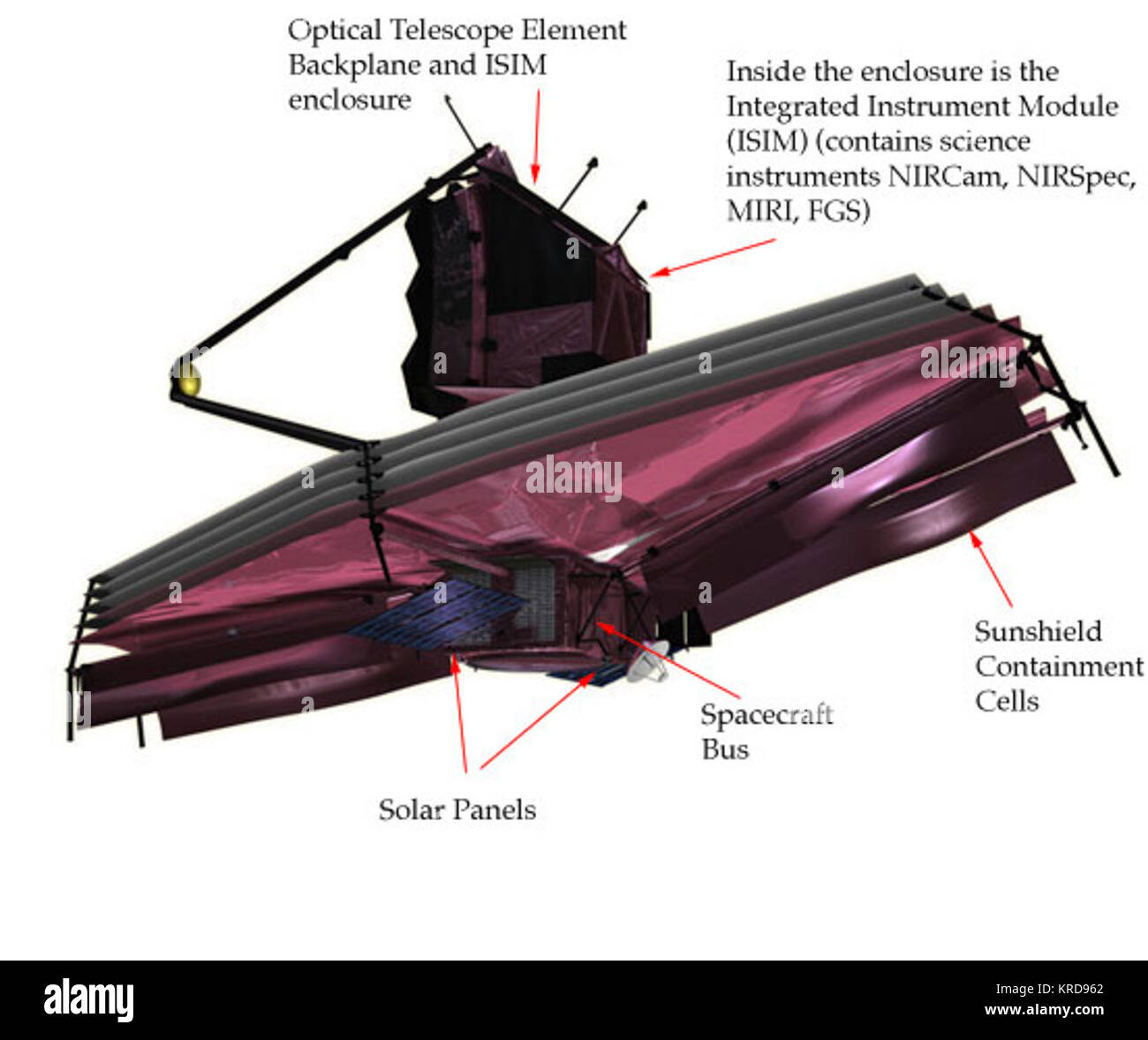 Jwst back view Stock Photo - Alamy
