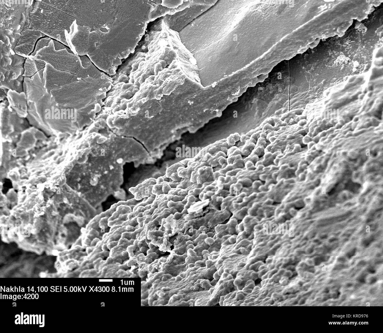 Individual layers Black and White Stock Photos & Images - Alamy