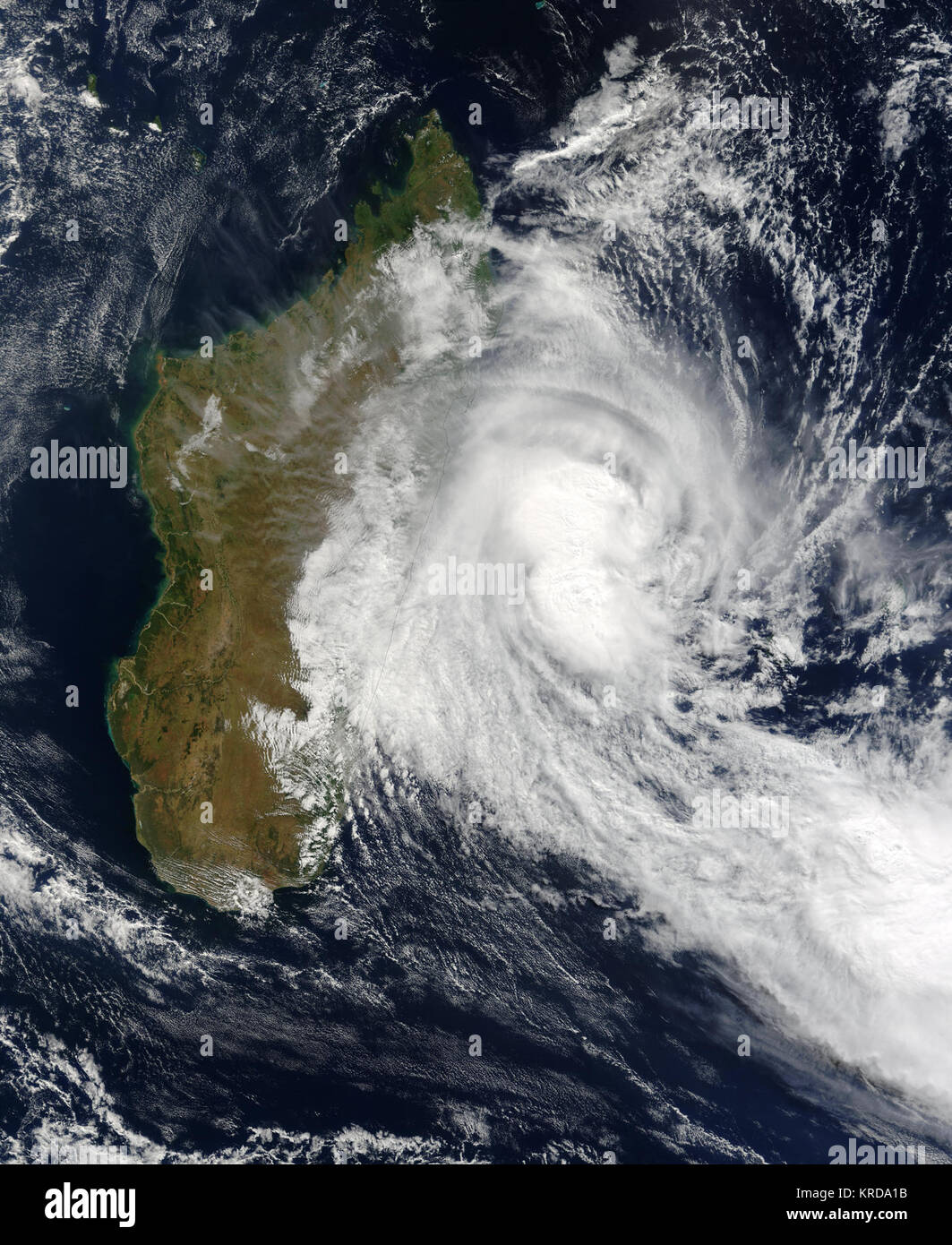 Manou hi-res stock photography and images - Alamy