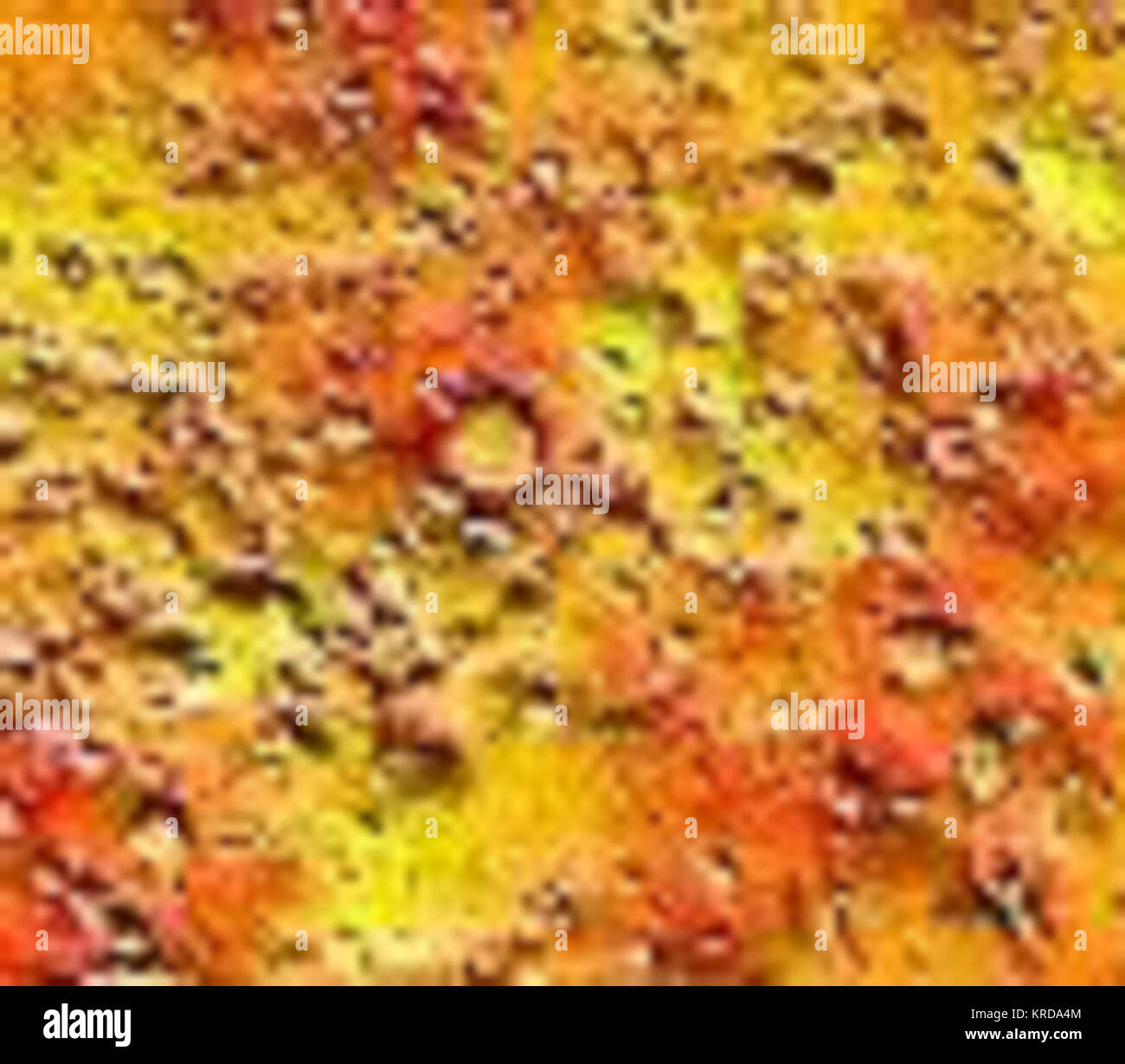 Map terra cimmeria Stock Photo - Alamy