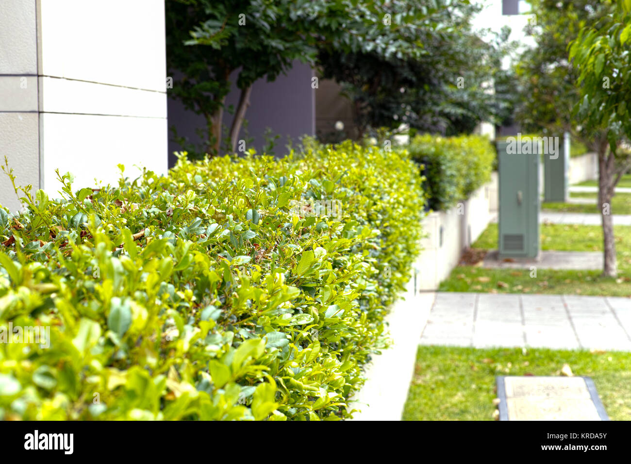Apartment building hedge on pavement with trees. Urban architectural ...