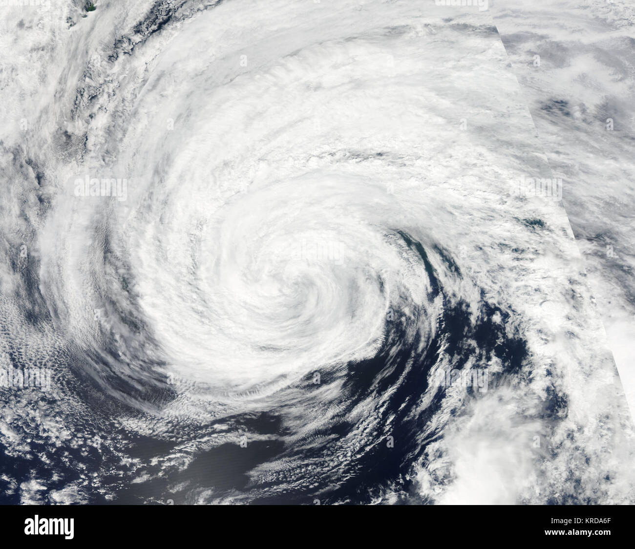 Merbok hi-res stock photography and images - Alamy