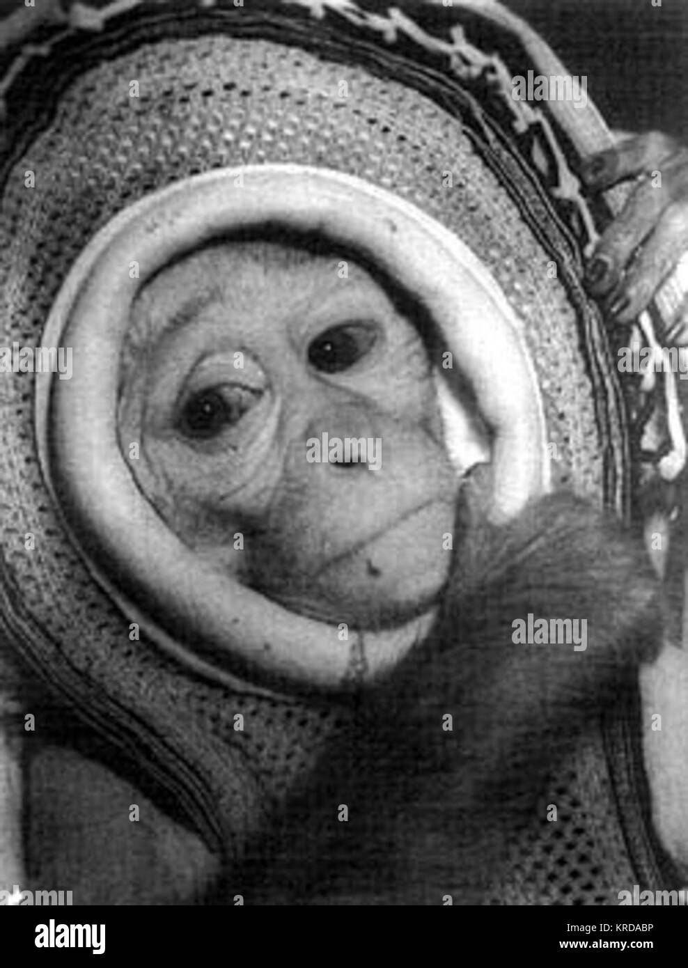 Miss Sam p61 Stock Photo - Alamy