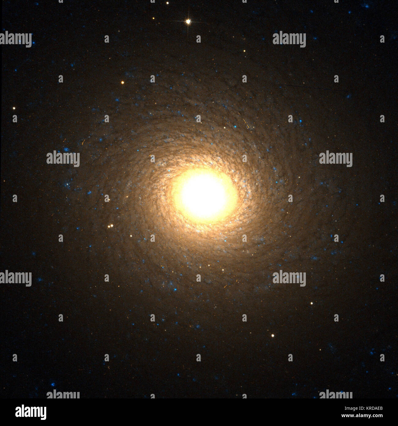 NGC 7217 Hubble Stock Photo - Alamy