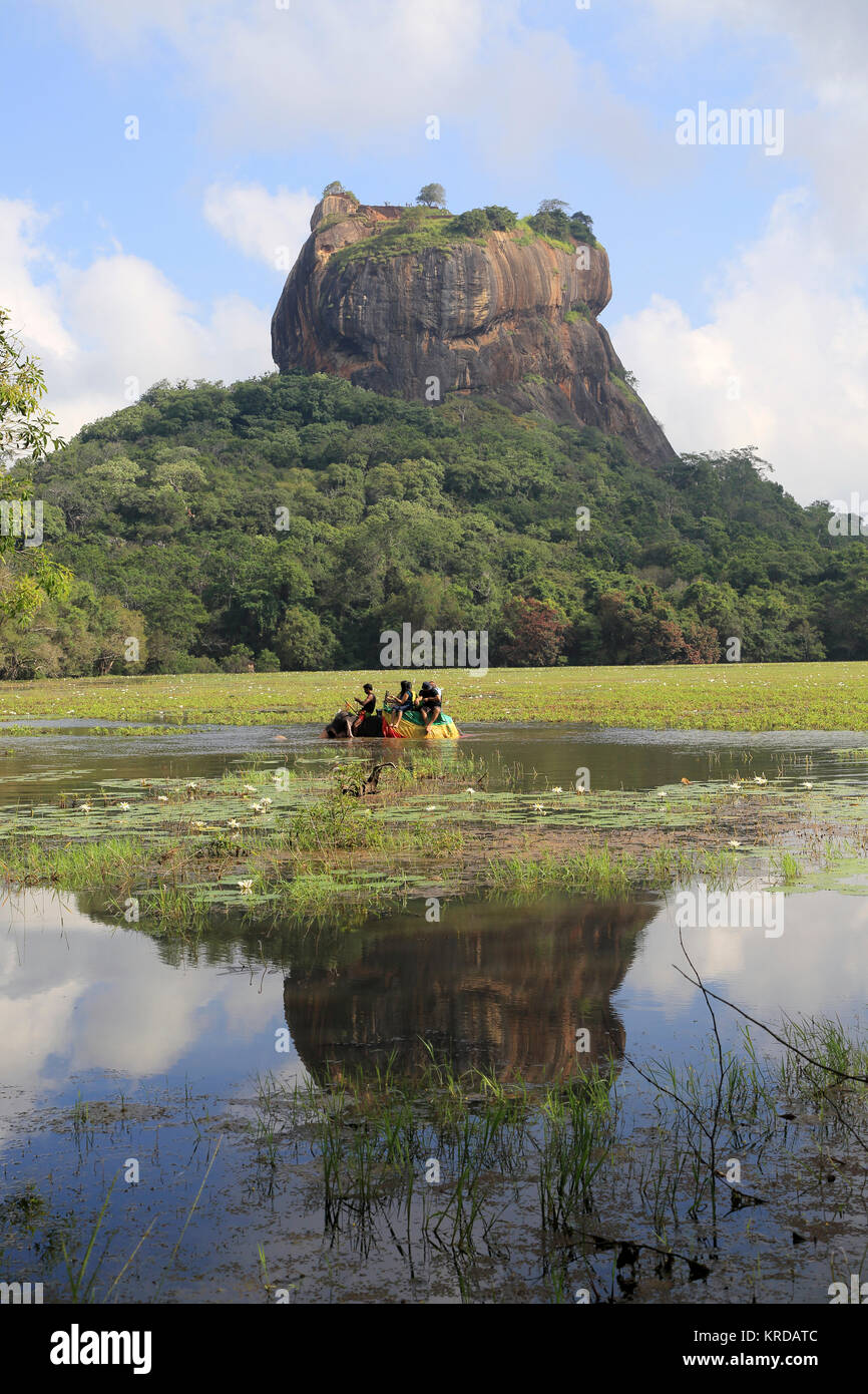 Elephant ride in lake by rock palace, Sigiriya, Central Province, Sri ...