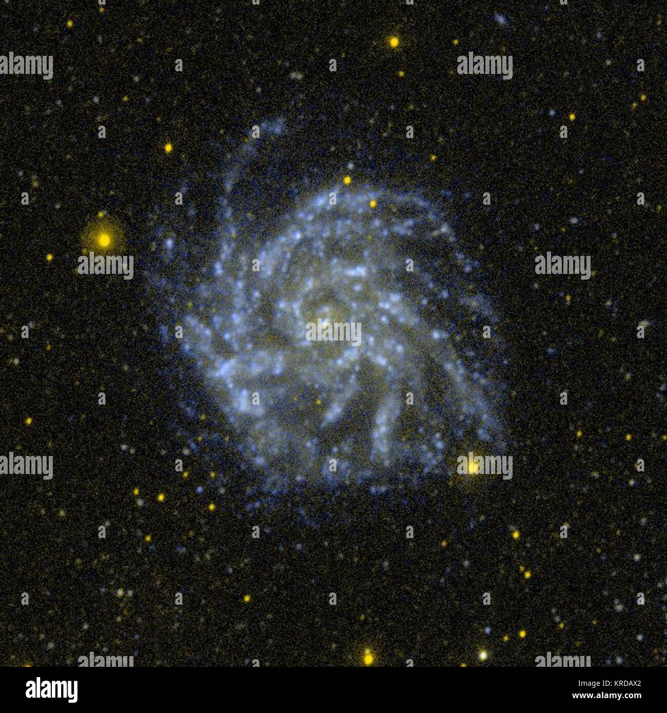 Grus constellation hi-res stock photography and images - Alamy