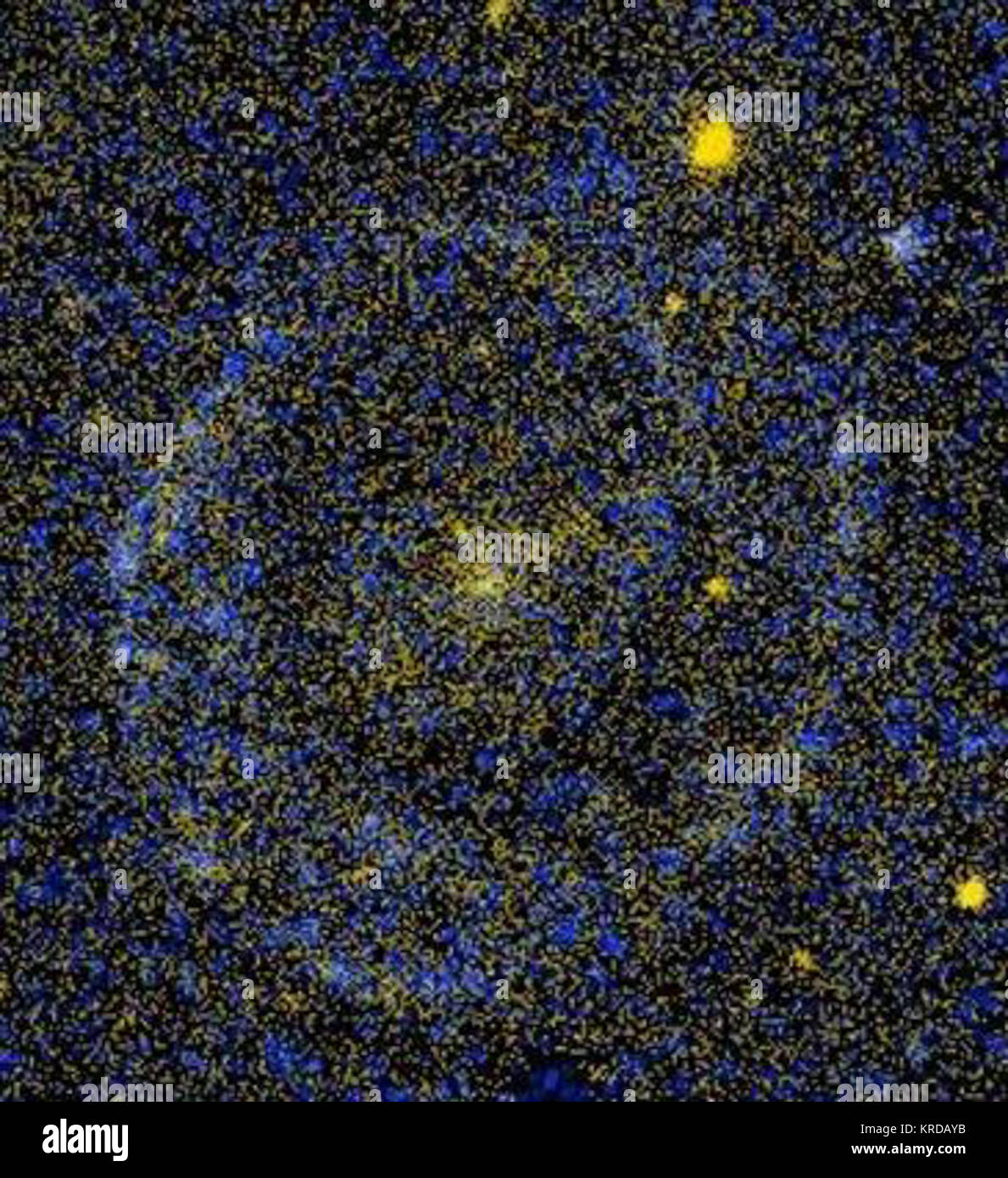 NGC 5101 GALEX Stock Photo - Alamy