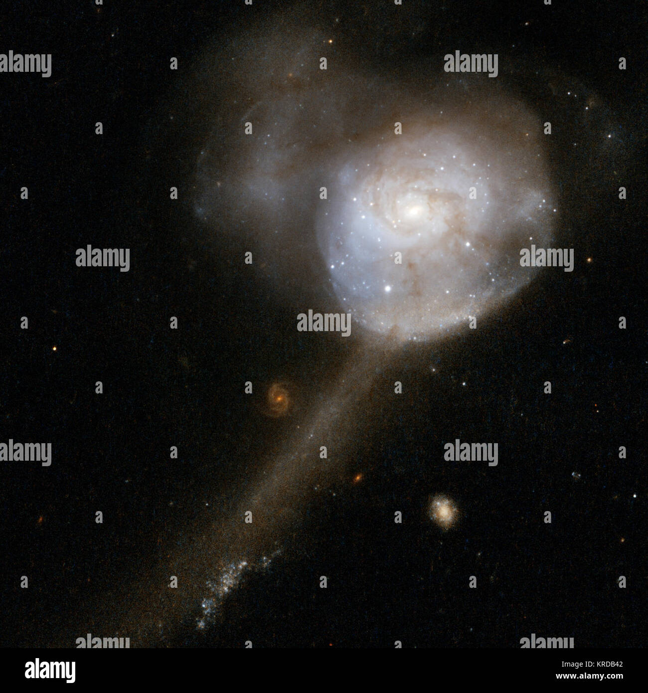 Ngc 17 hi-res stock photography and images - Alamy